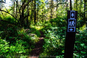Visit the Refuge - Friends of the Ridgefield National Wildlife Refuge