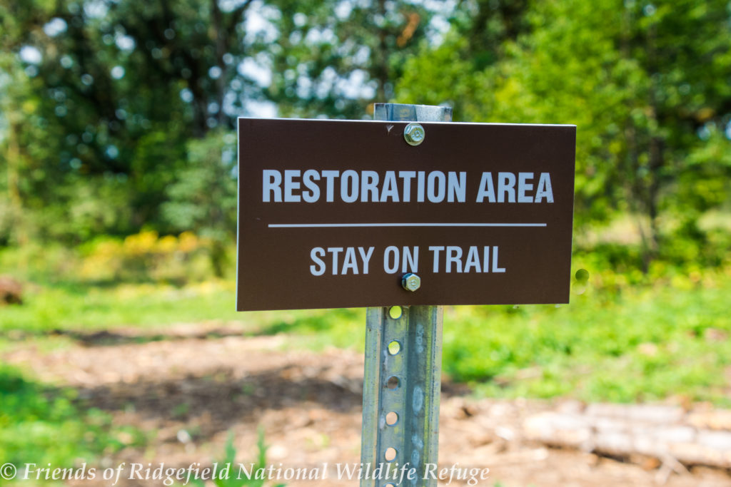 Visit the Refuge - Friends of the Ridgefield National Wildlife Refuge
